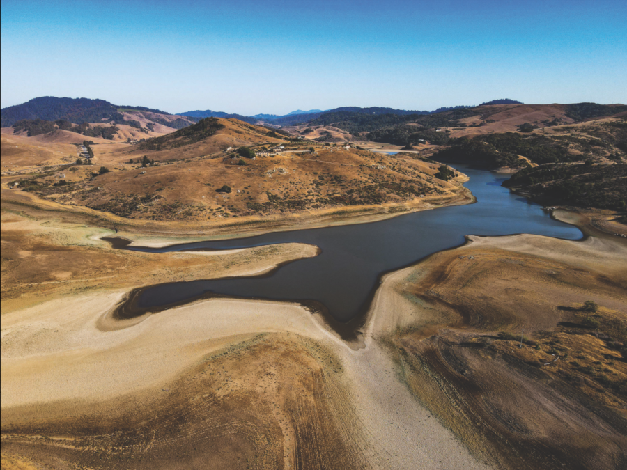 County reservoirs at historic lows, local wildlife at risk – The Pitch