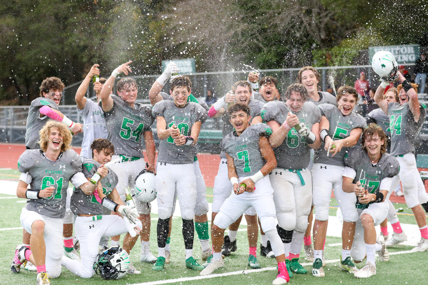 Falcon football crowned homecoming heroes after thrilling win over San ...